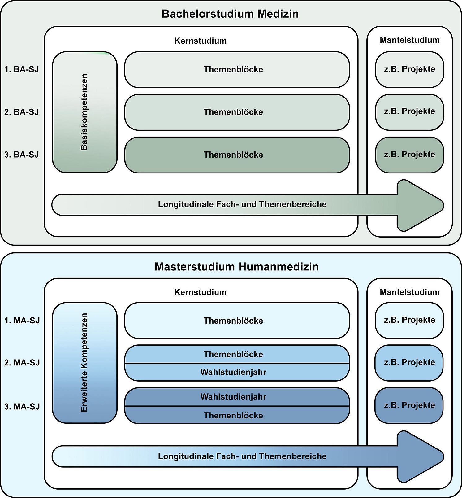 Aufbau des Curriculums | Studium Humanmedizin